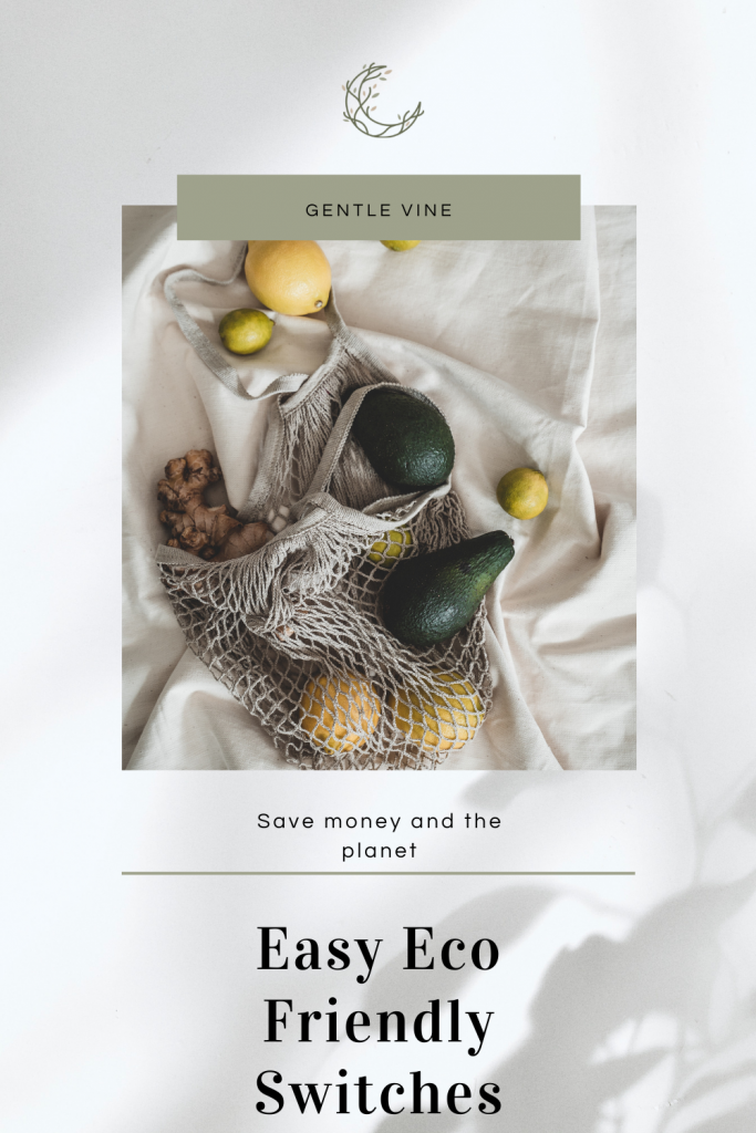 Eco Friendly Switches that Save Money